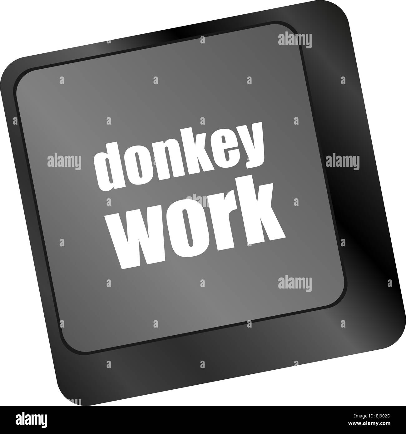 Donkey on white background donkey hi-res stock photography and images ...