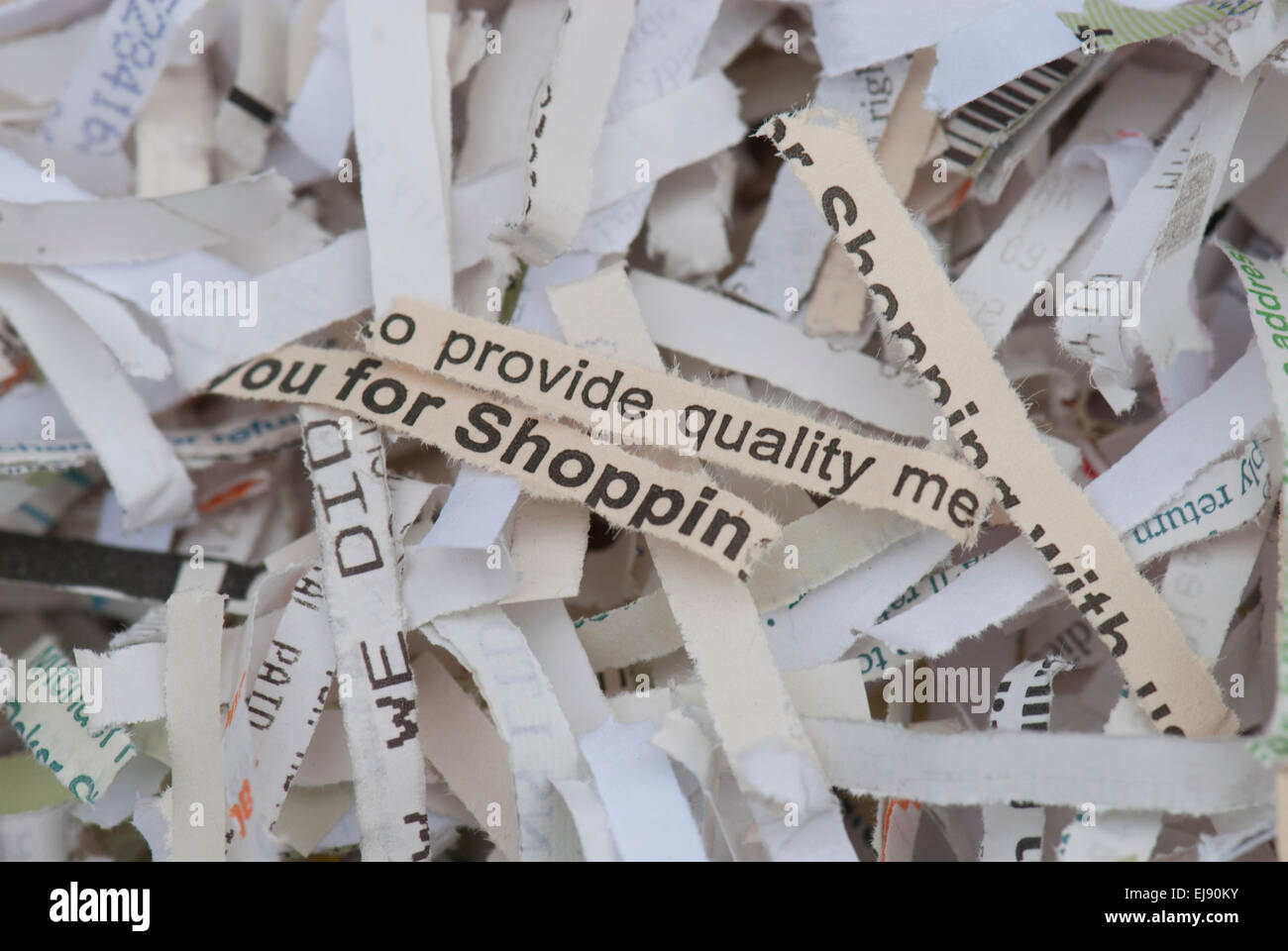 Shredded paper animals hi-res stock photography and images - Alamy