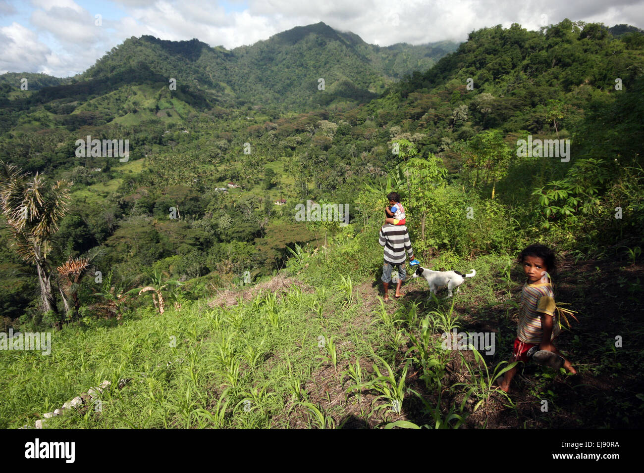On a walk through the jungle and plantations around Same, central East ...