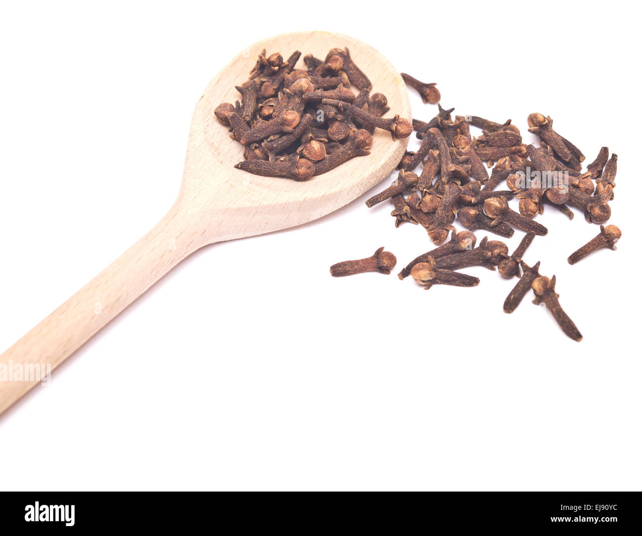 Carnation of india hi-res stock photography and images - Alamy