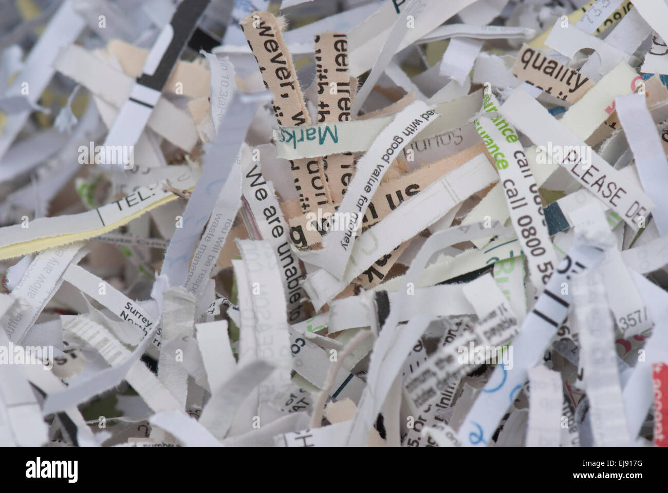 Shredding documents, receipts, personal papers Stock Photo - Alamy