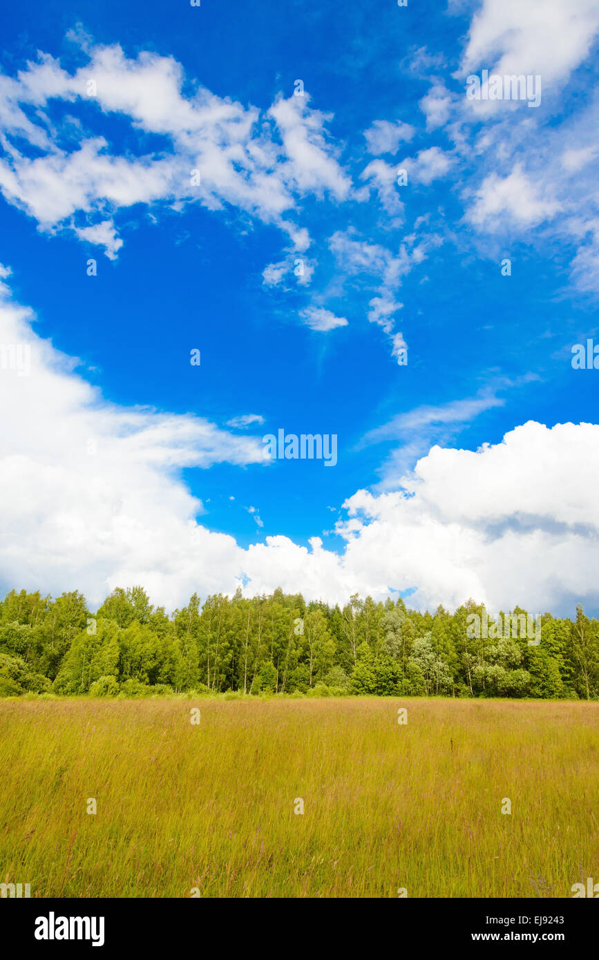 prairie landscape and sky Stock Photo - Alamy