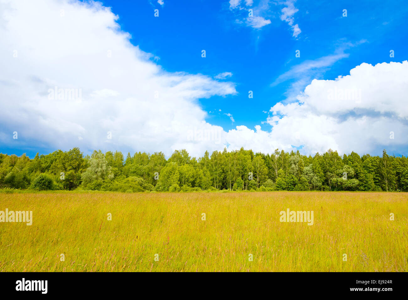 prairie landscape and sky Stock Photo - Alamy