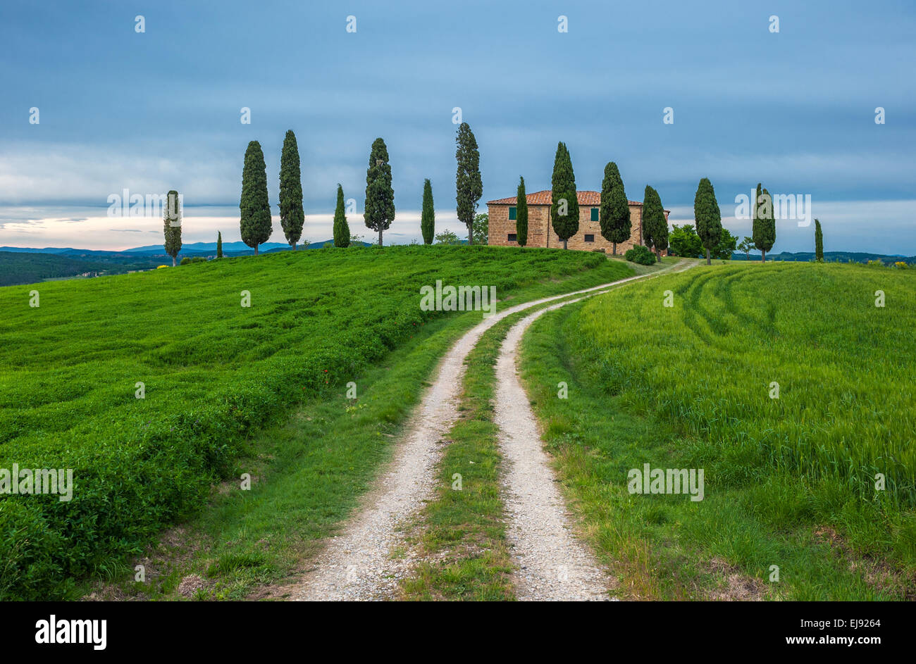 typical tuscan landscape Stock Photo - Alamy