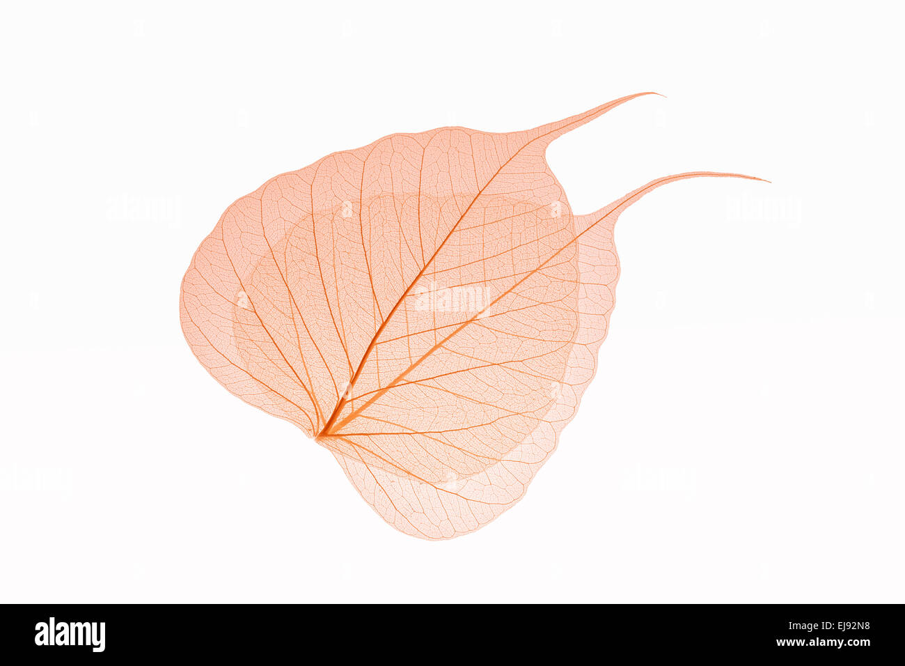 Light orange structure Cut Out Stock Images & Pictures - Alamy