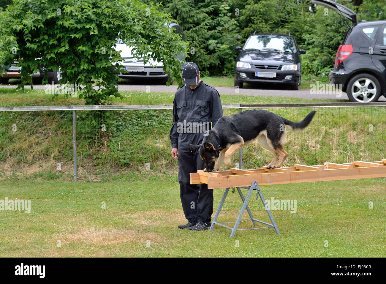 Rettungshundetraining hi-res stock photography and images - Alamy