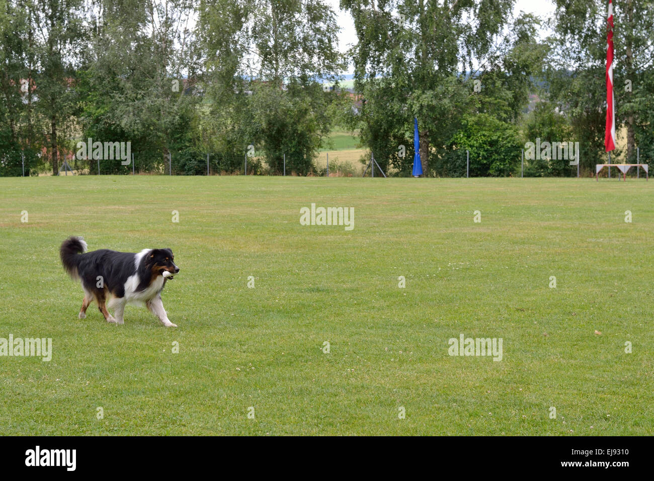 Retrieve hi-res stock photography and images - Alamy