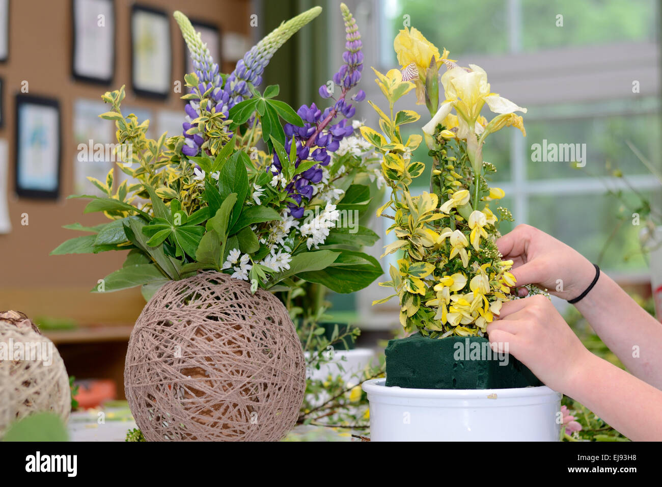 Person organizes creative arrangements Stock Photo - Alamy