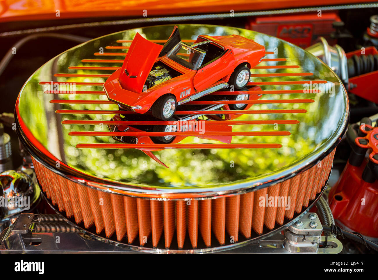 Old stingray hi-res stock photography and images - Alamy
