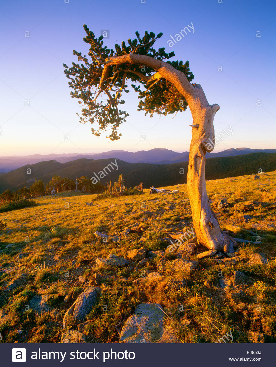 Mount Evans Colorado High Resolution Stock Photography and Images - Alamy