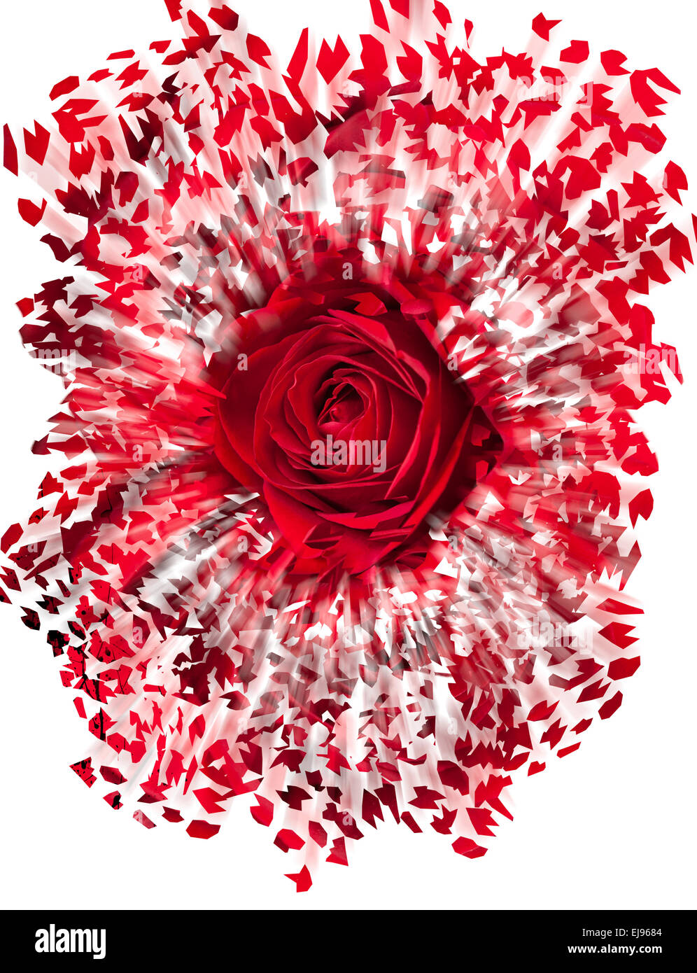 Exploding flower hi-res stock photography and images - Alamy