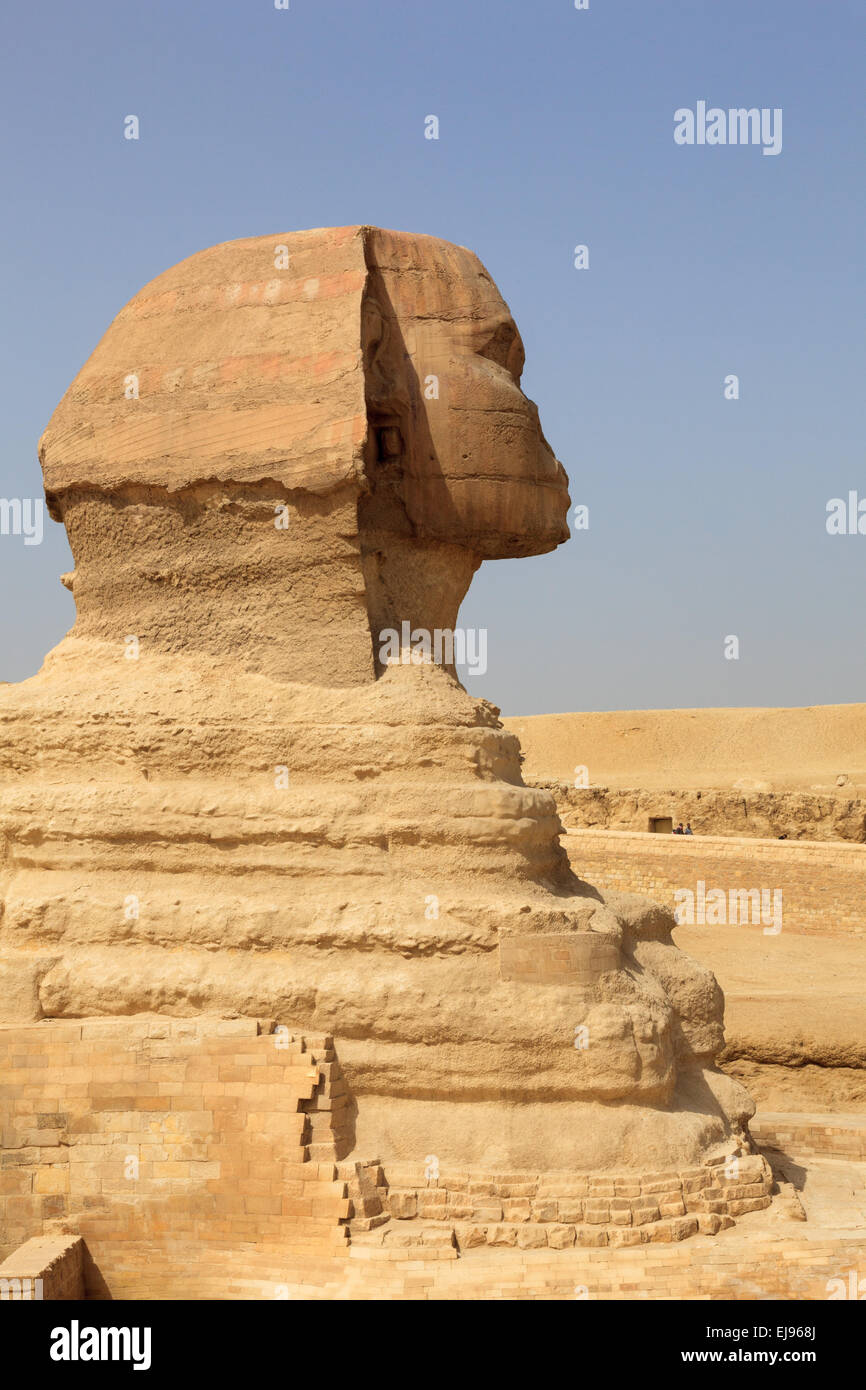 Close up of side view of Sphinx Cairo Stock Photo - Alamy