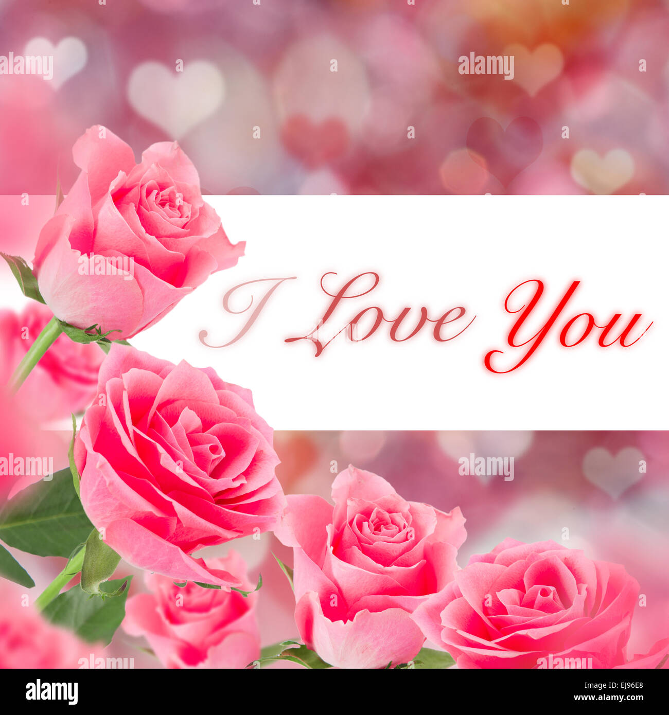 Pink roses, Valentine's day background Stock Photo - Alamy