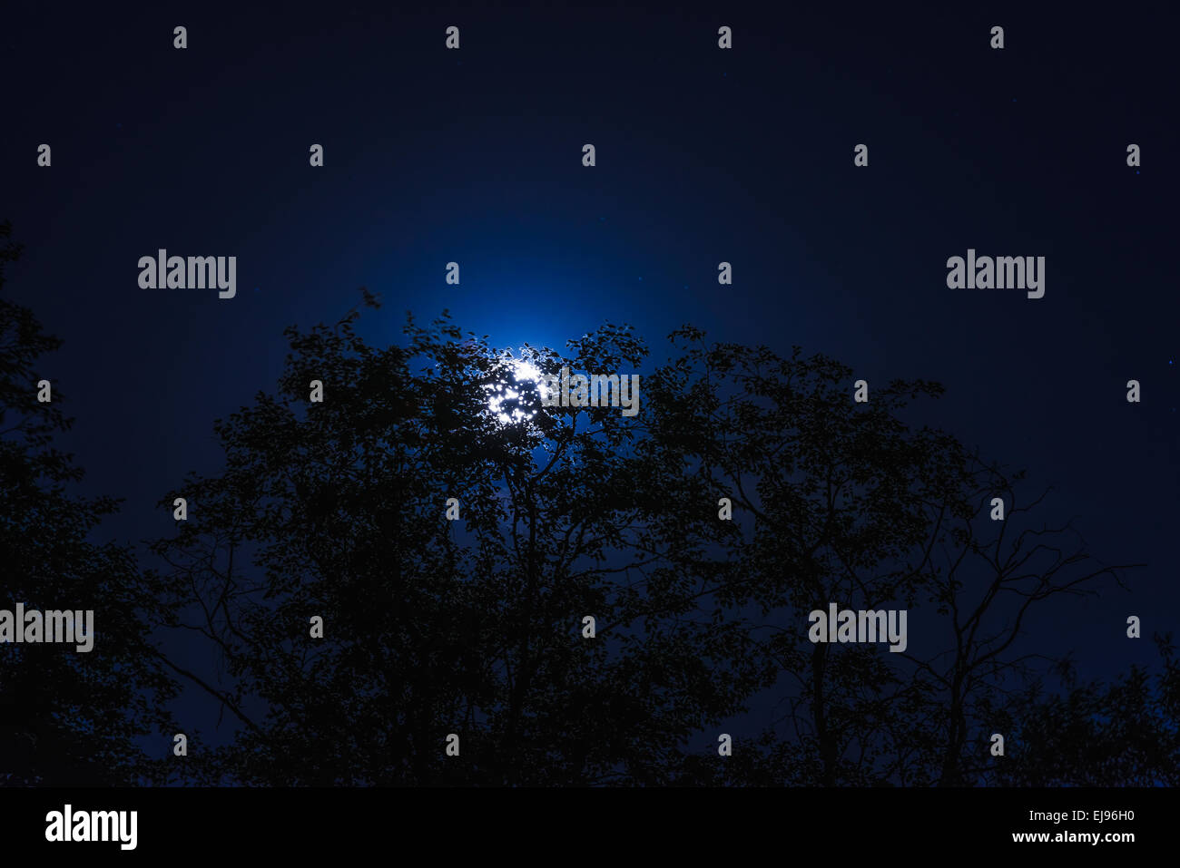 river at night with fog Stock Photo - Alamy