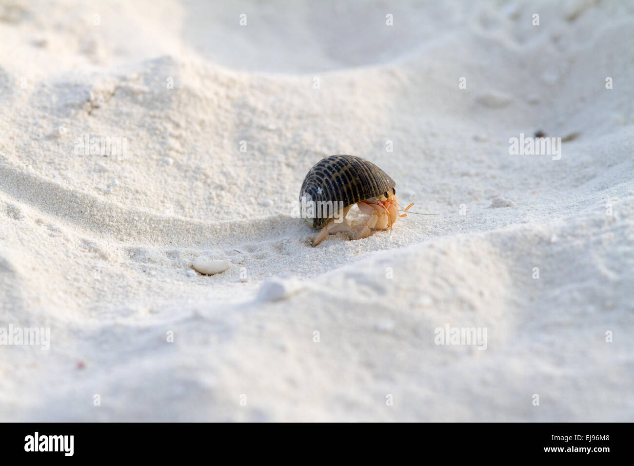On its way Stock Photo - Alamy