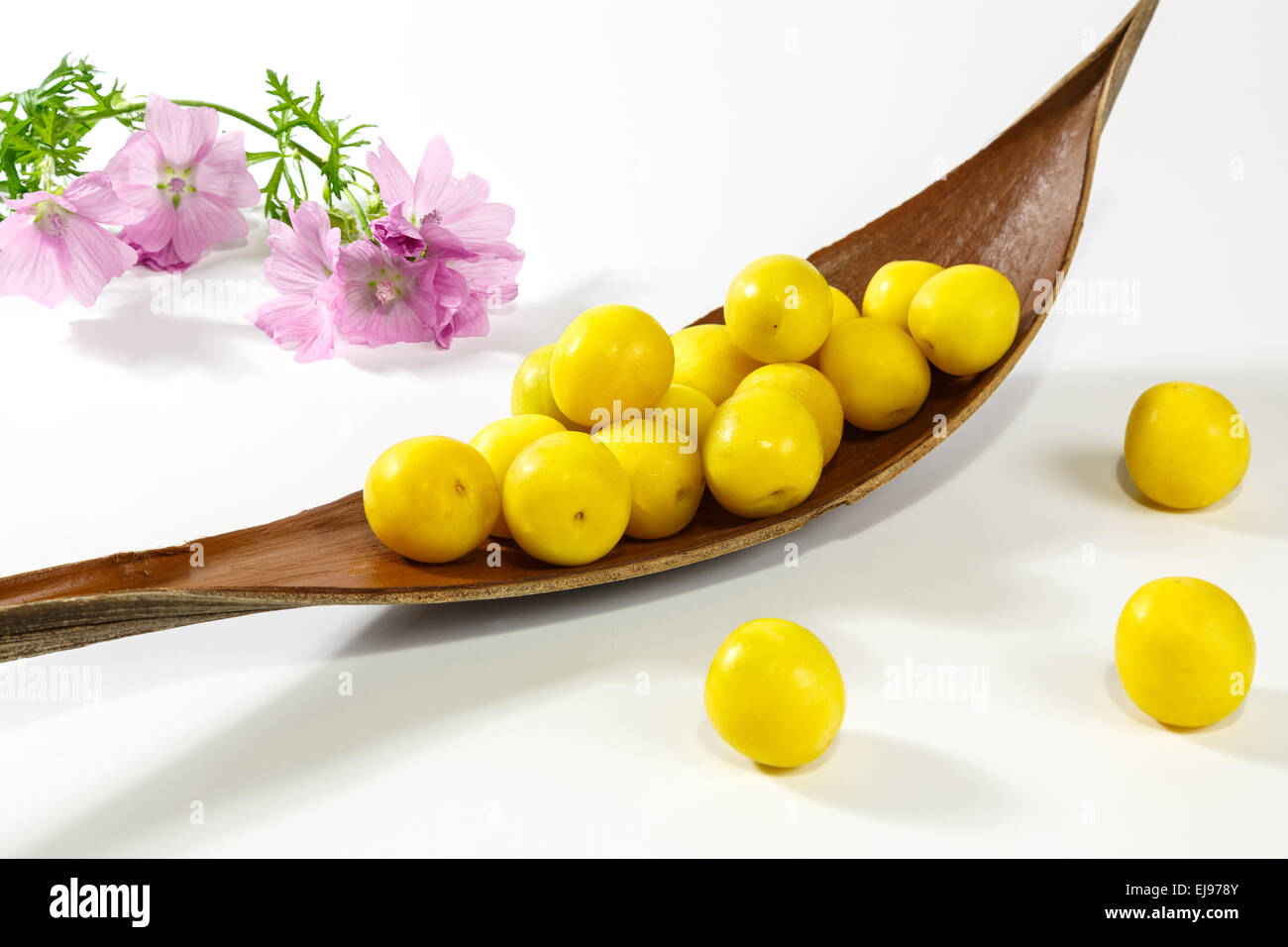 Kitchen life hi-res stock photography and images - Alamy