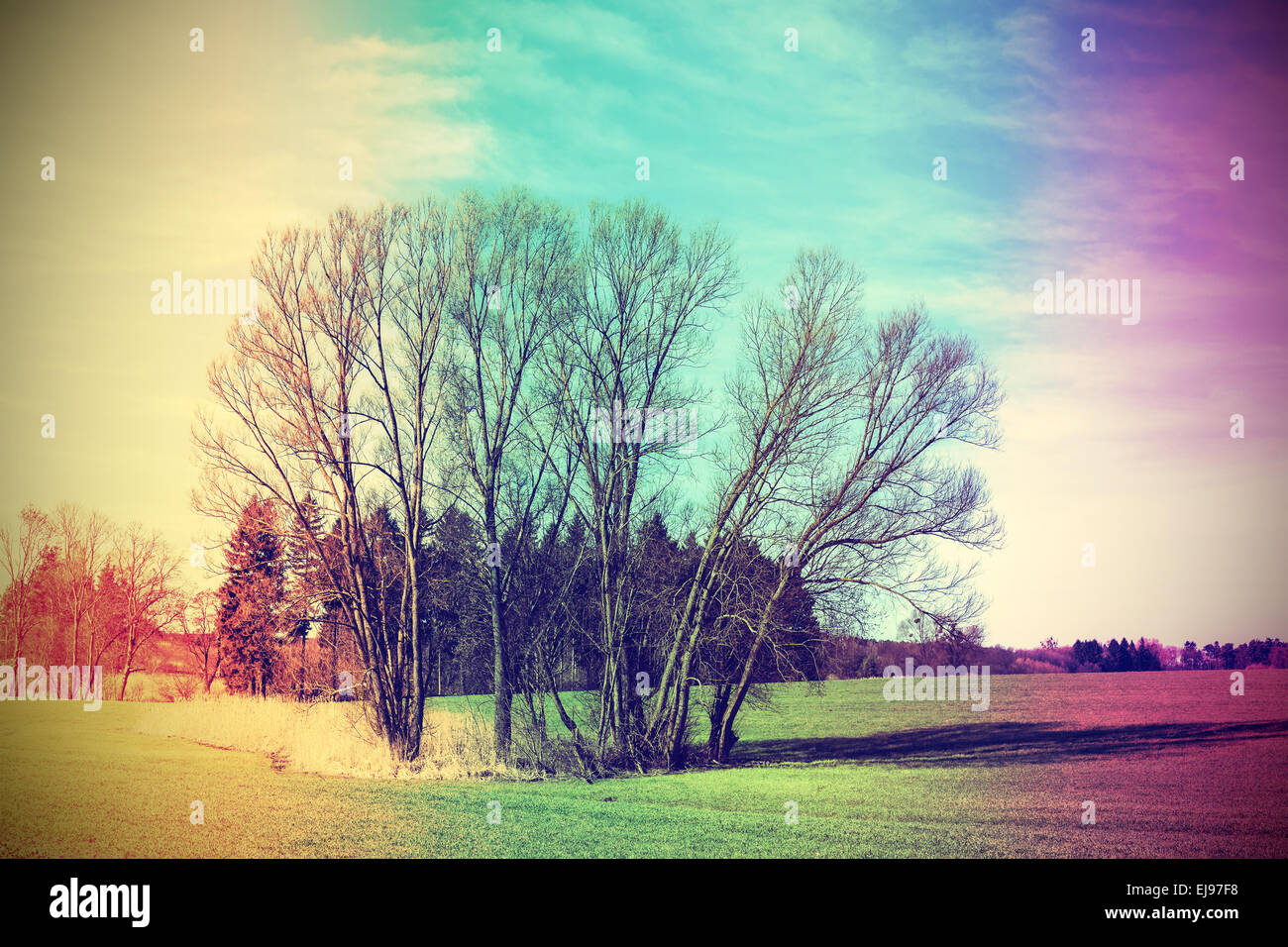 Vintage grainy stylized retro hi-res stock photography and images - Alamy