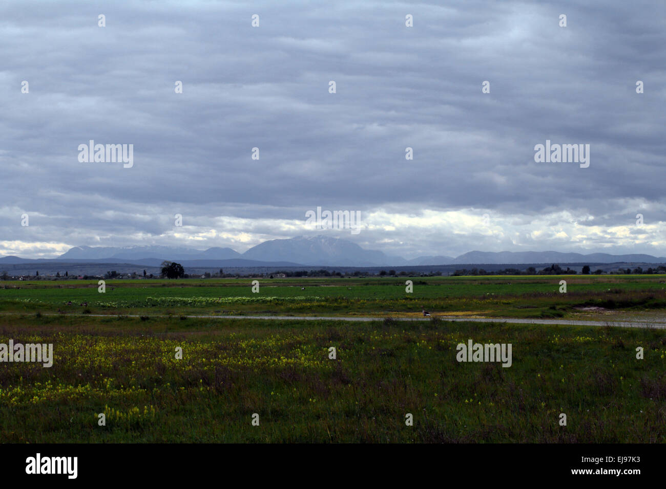 Lake Neusiedl National Park, Austria Stock Photo - Alamy