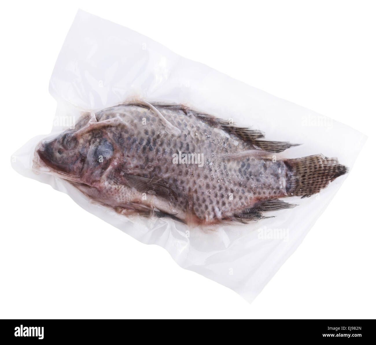 Frozen Whole Fish Stock Photo - Alamy