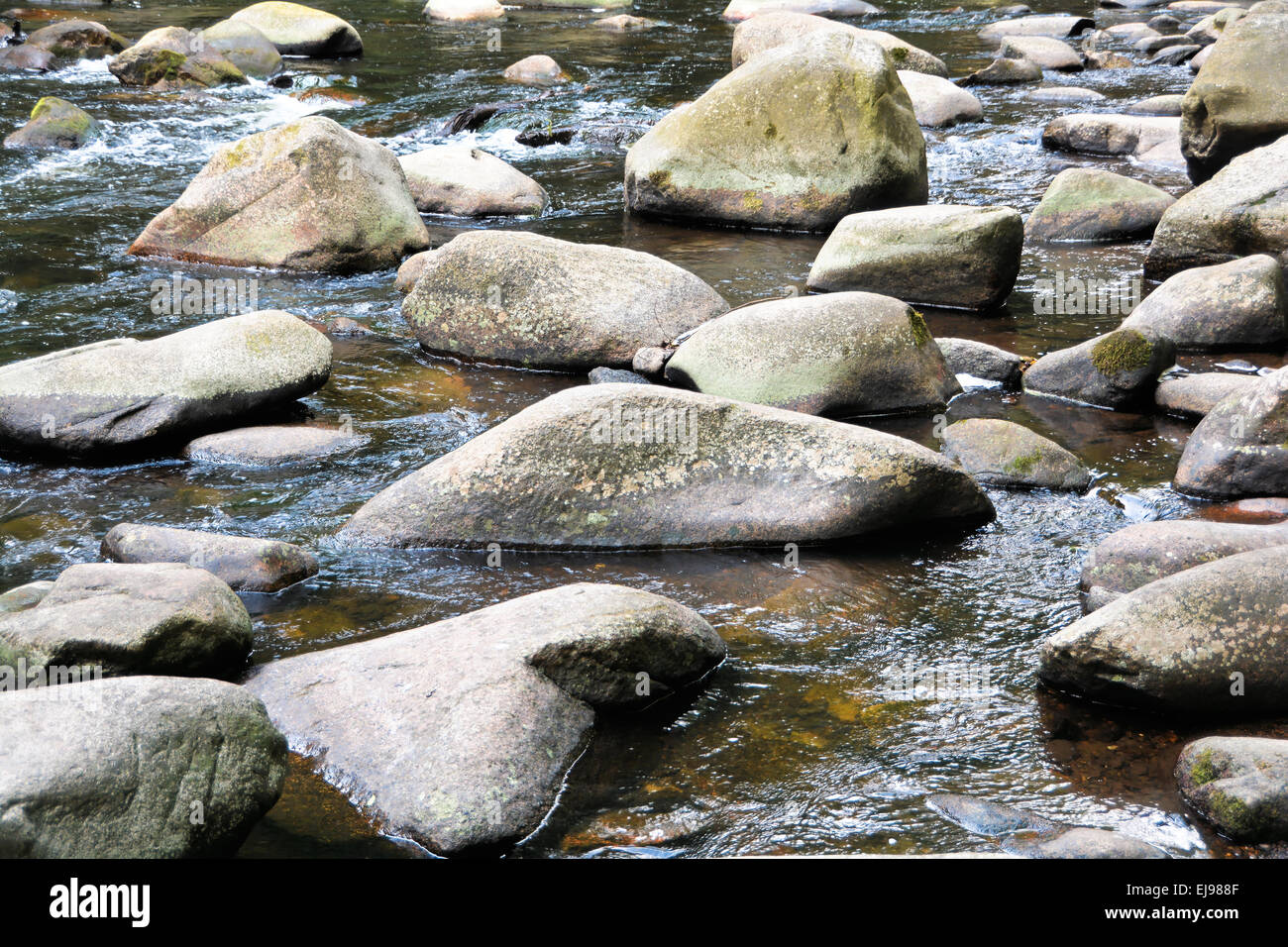 Bode river hi-res stock photography and images - Alamy
