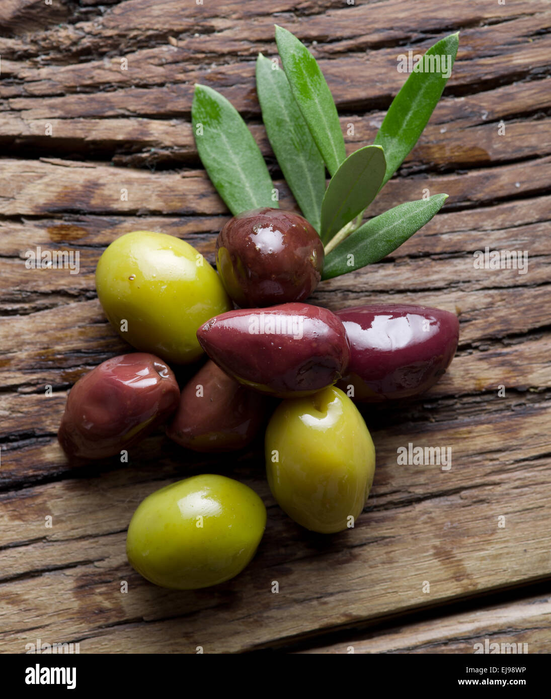 Olive wood twig hi-res stock photography and images - Alamy