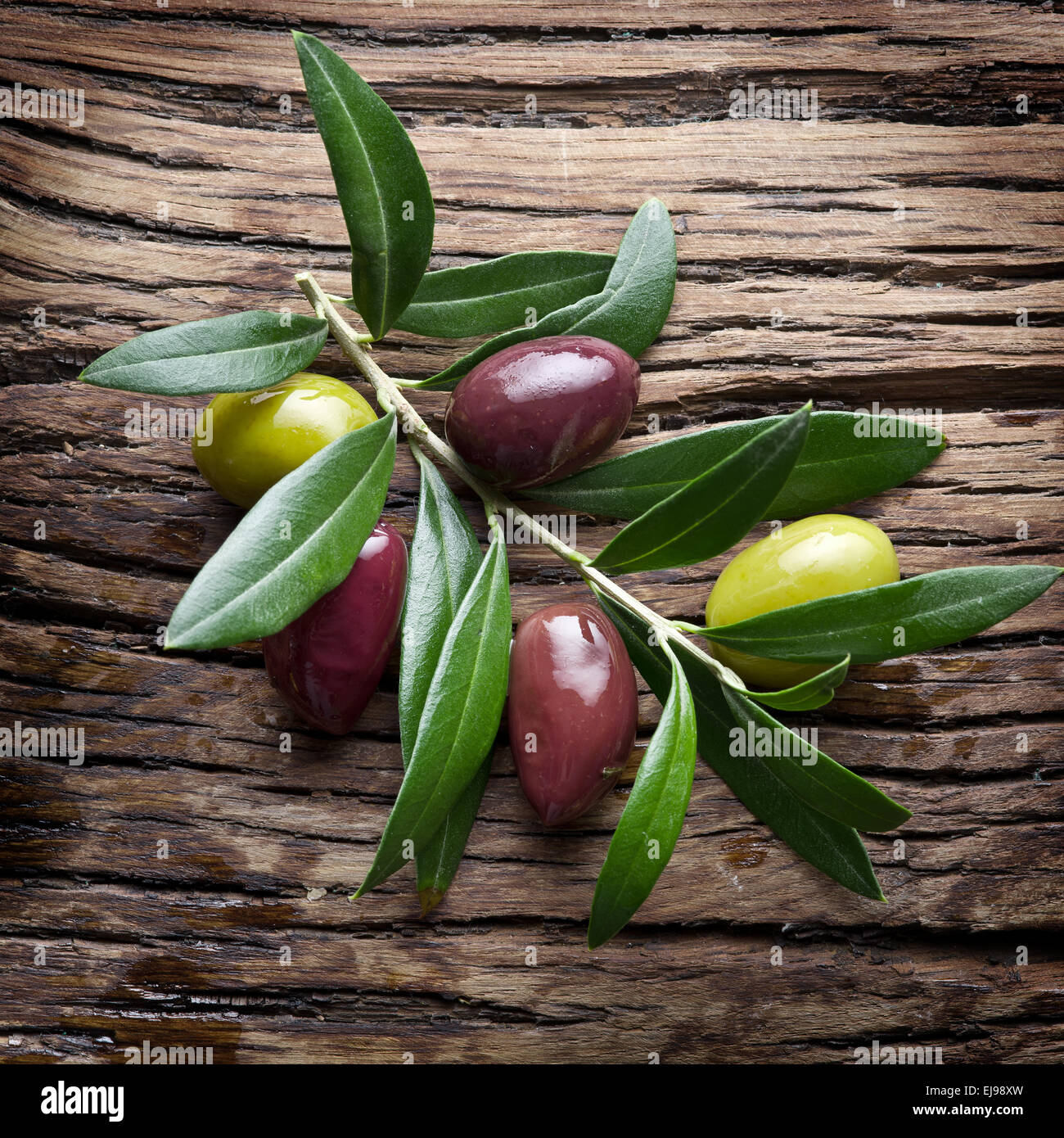 Olive wood twig hi-res stock photography and images - Alamy