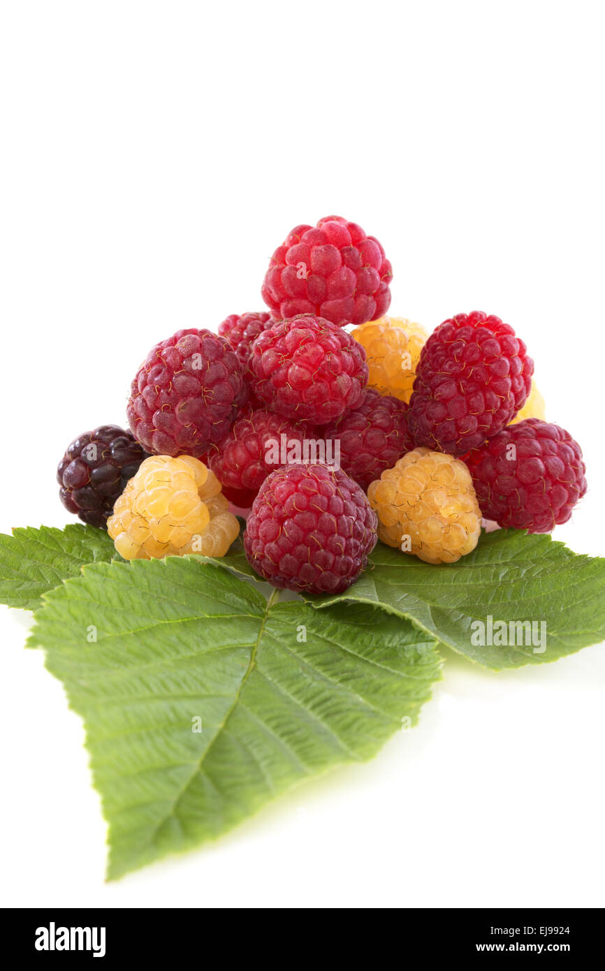 Red, white and black raspberries Stock Photo - Alamy