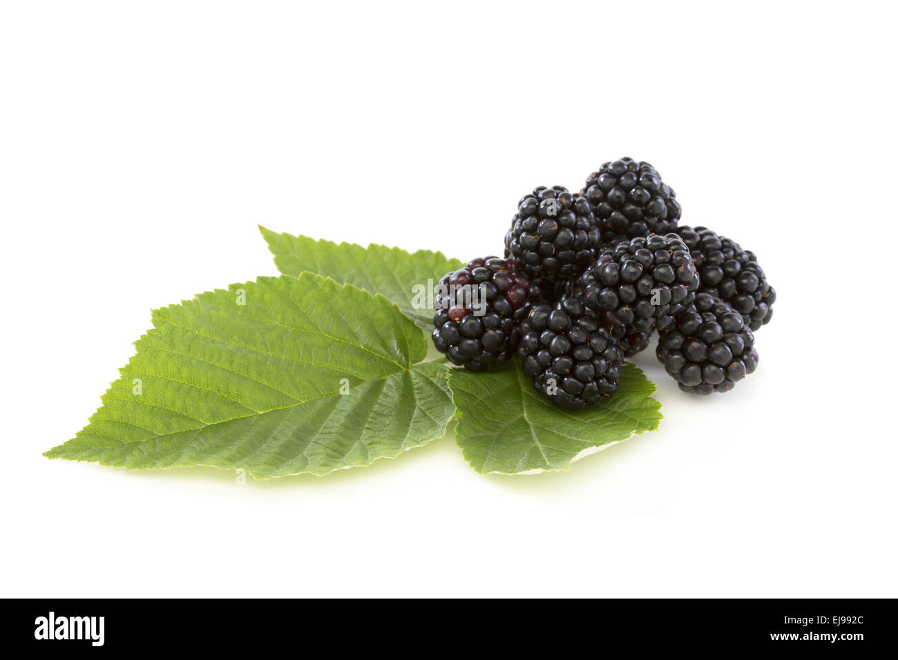 Eat blackberries hi-res stock photography and images - Alamy