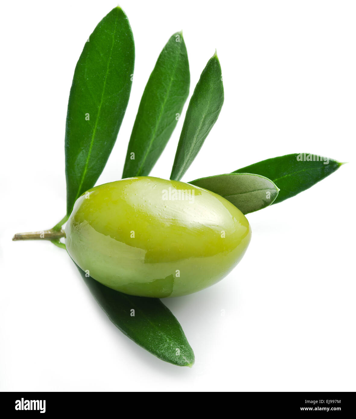 Green olive with leaves on a white background Stock Photo - Alamy