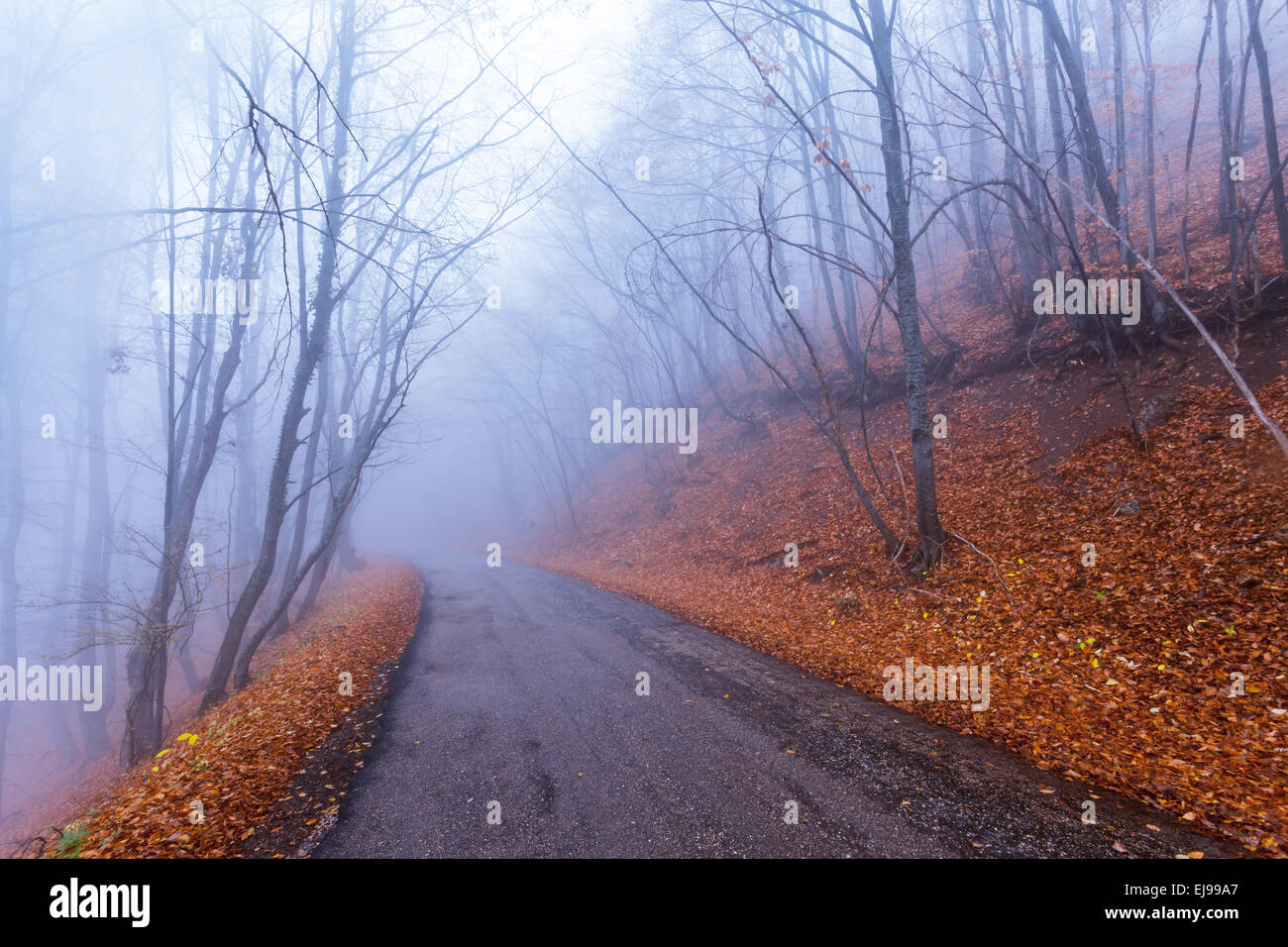 Mountain street with autumn color of forest hi-res stock photography ...