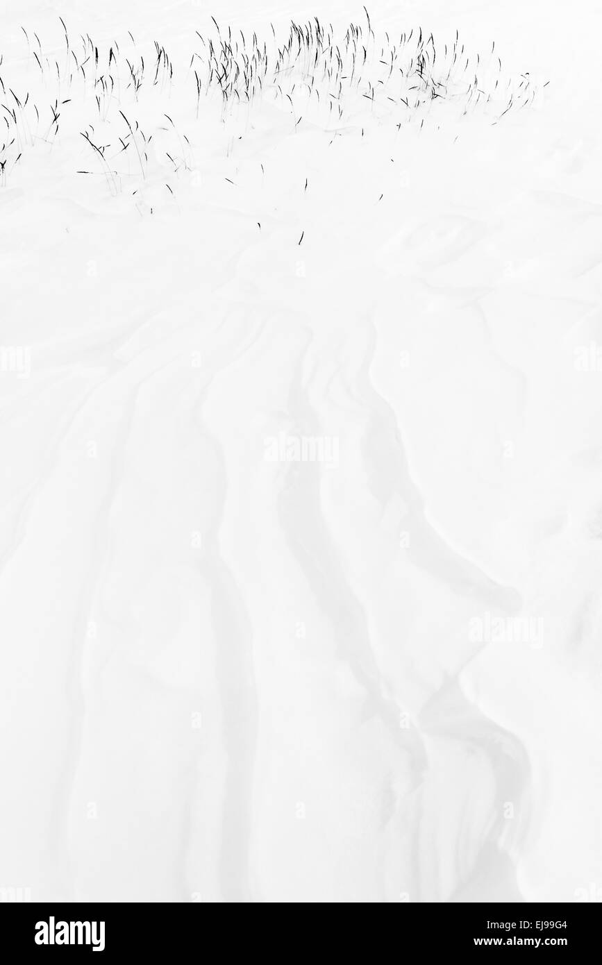 Snow covered landscape grass Black and White Stock Photos & Images - Alamy
