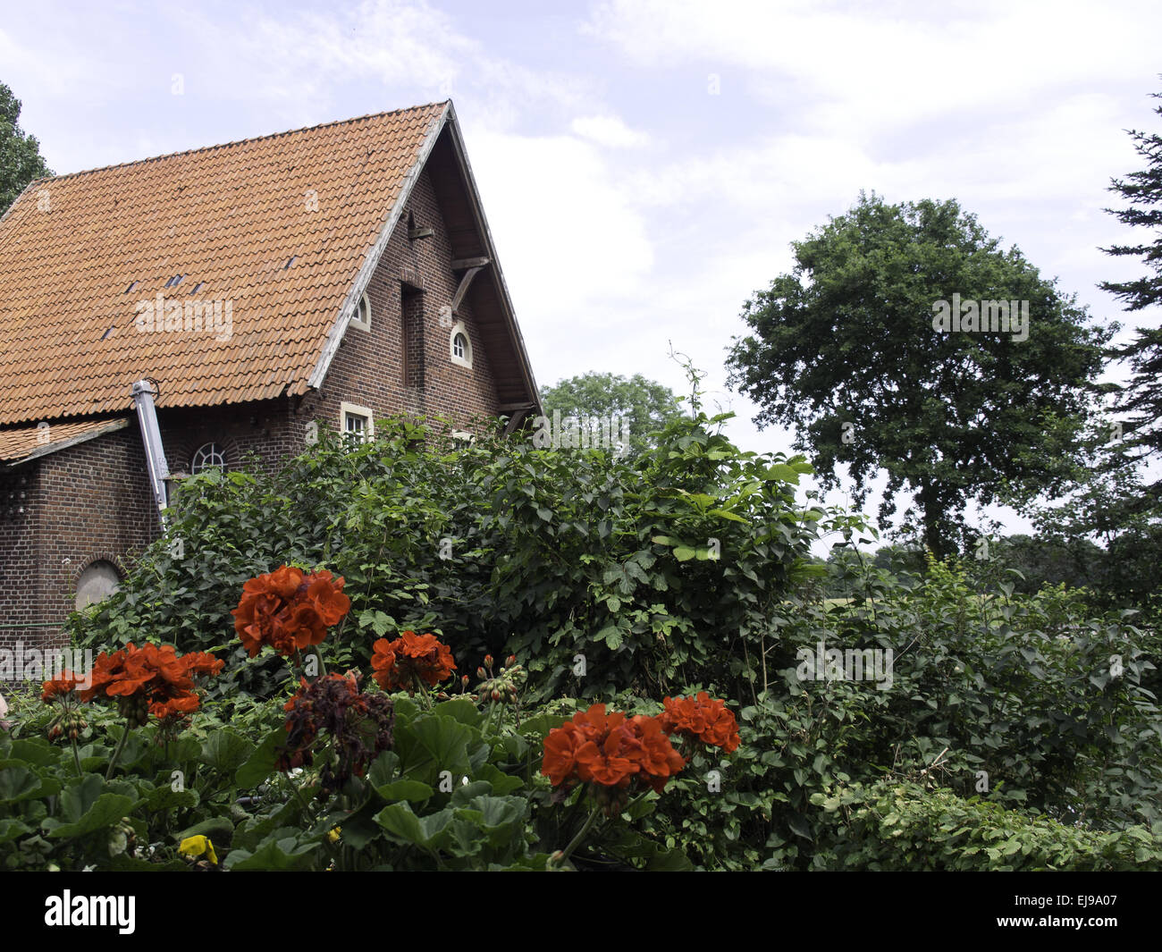 Mill in Germany Stock Photo - Alamy