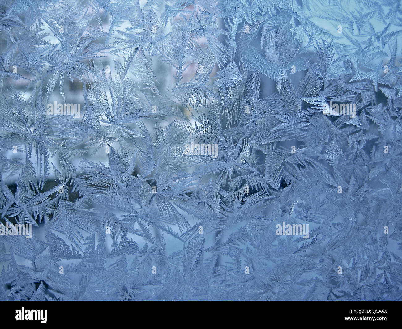 Ice pattern on winter glass Stock Photo - Alamy