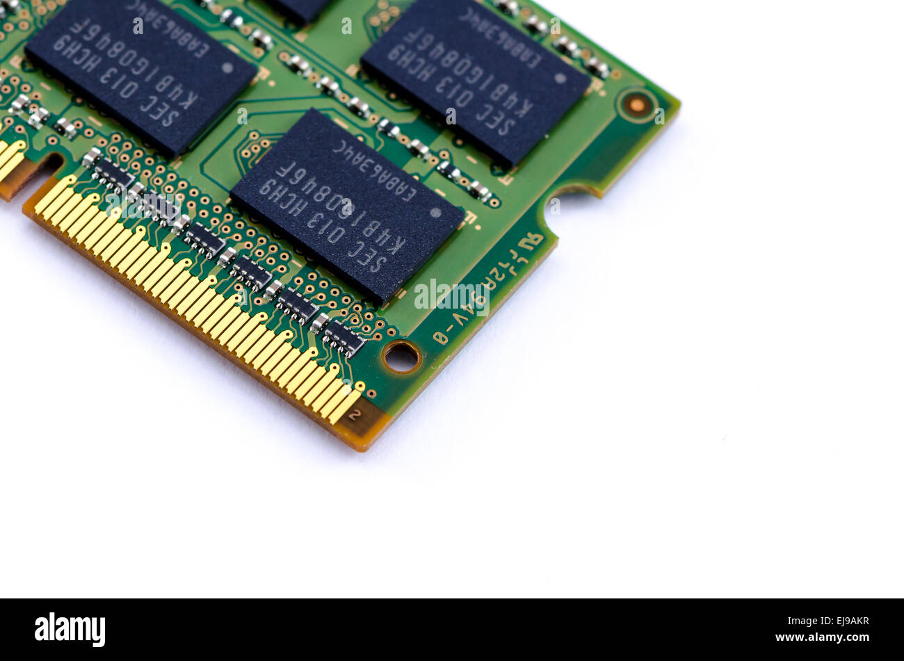 Green ram hi-res stock photography and images - Alamy