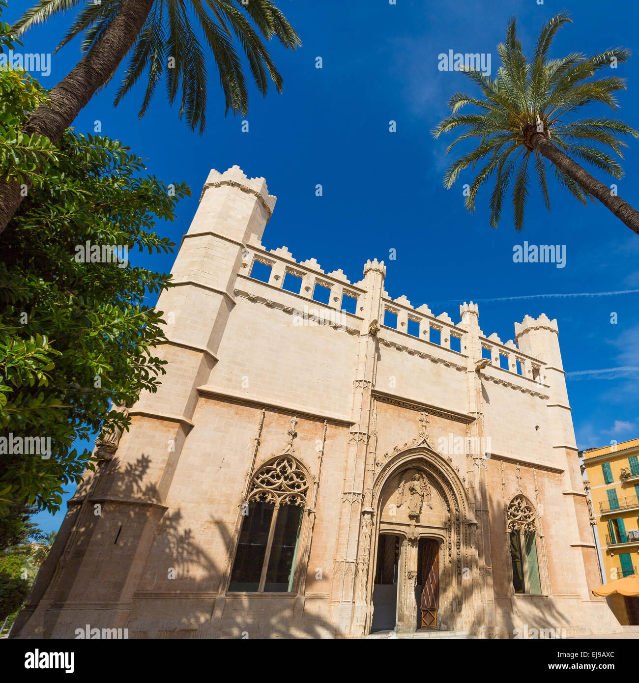 Palma de Mallorca Lonja Majorca gothic architecture in Balearic islands ...