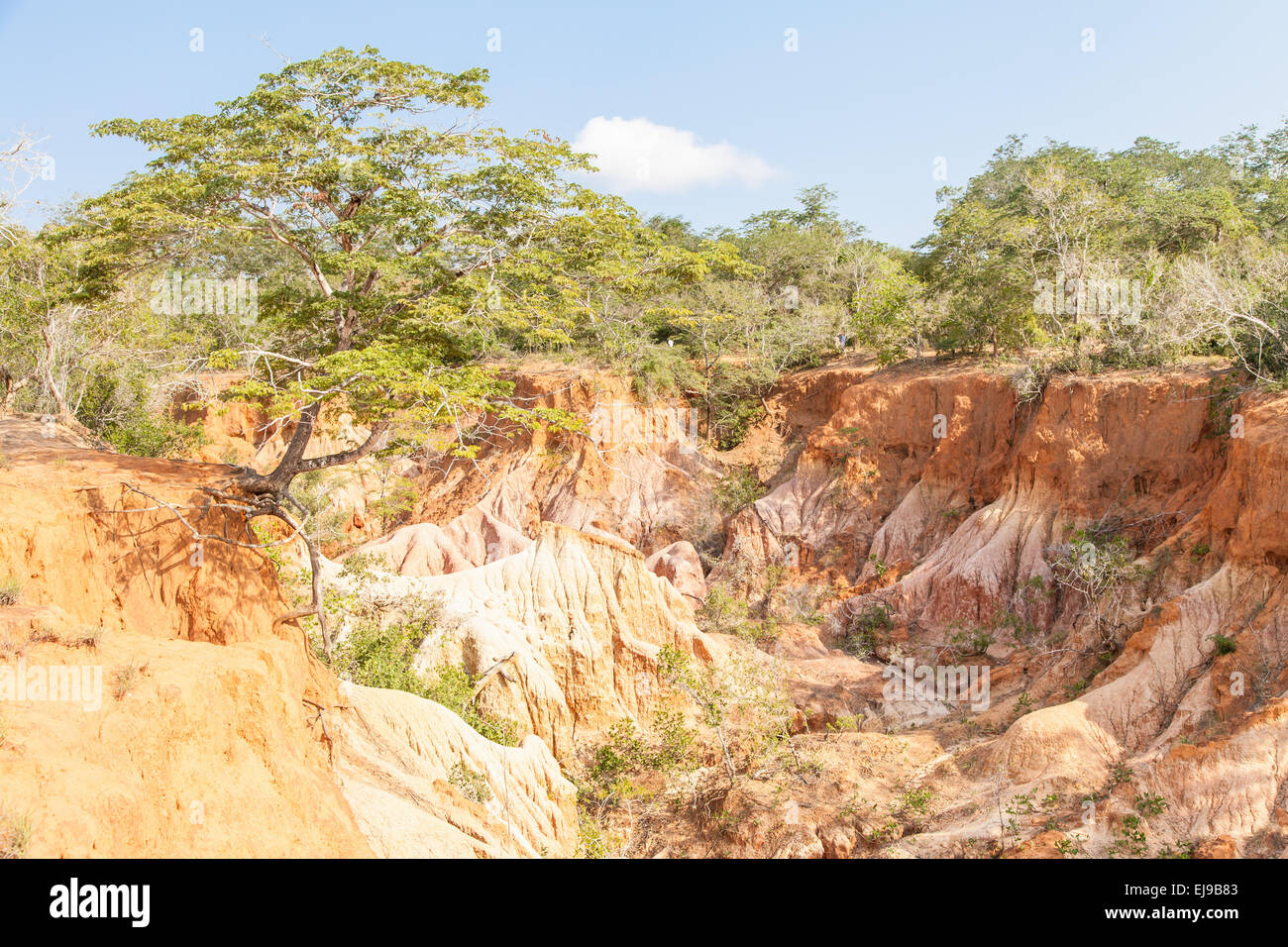 Marafa Canyon - Kenya Stock Photo - Alamy