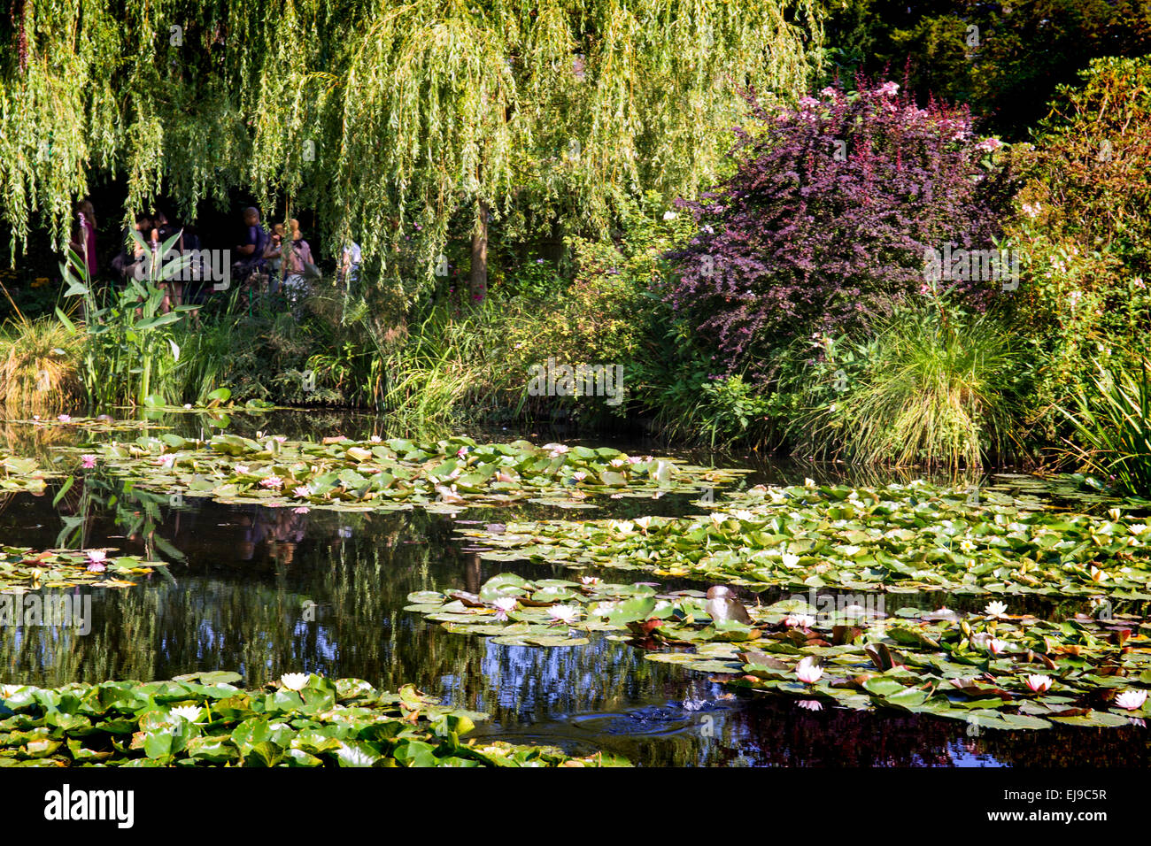 France, Europe, Giverny, Claude Monet Foundation, gardens of Monet's ...