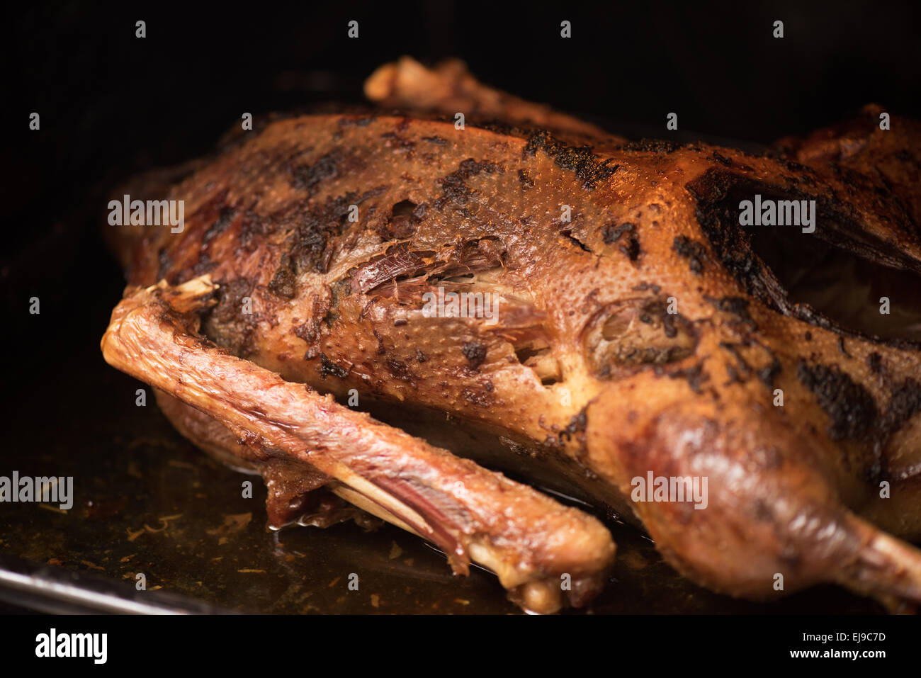 Tray raw goose meat hi-res stock photography and images - Alamy