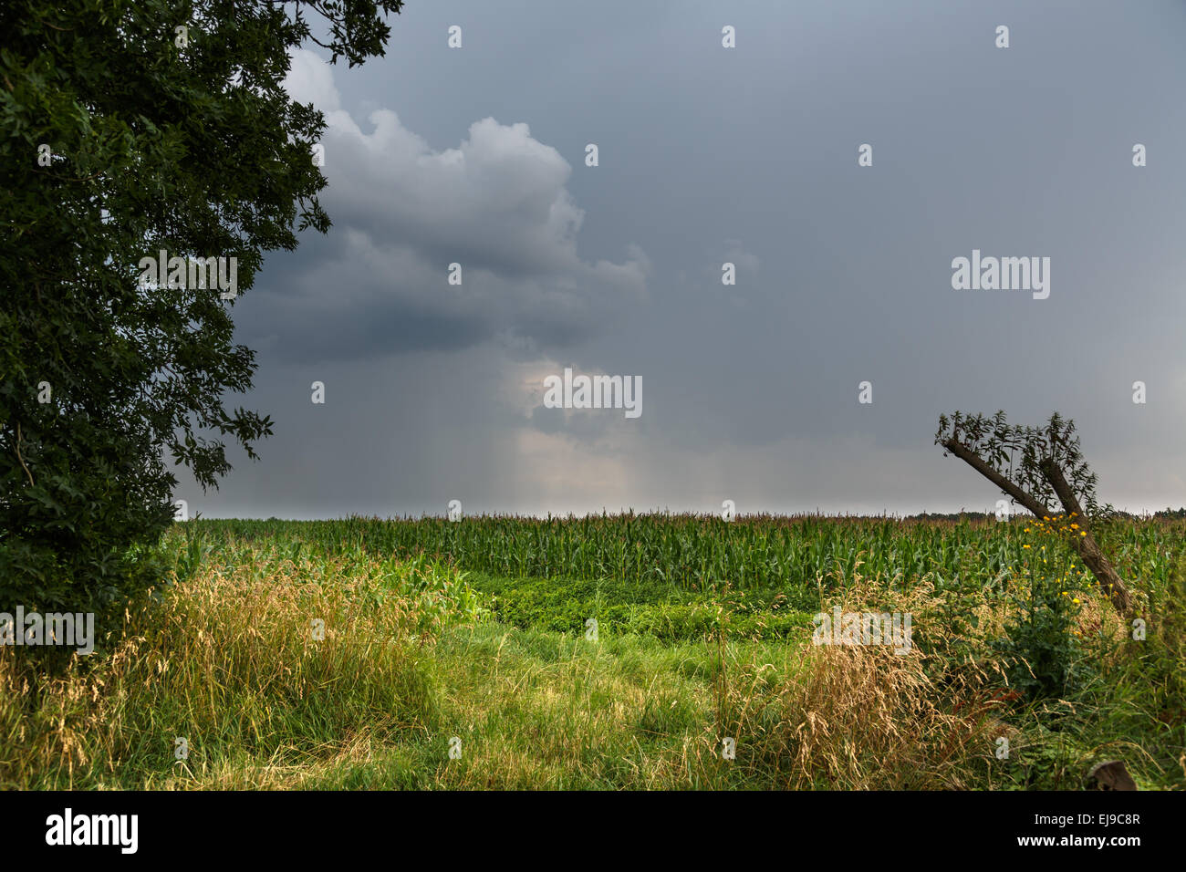 Clouds over the plains hi-res stock photography and images - Alamy