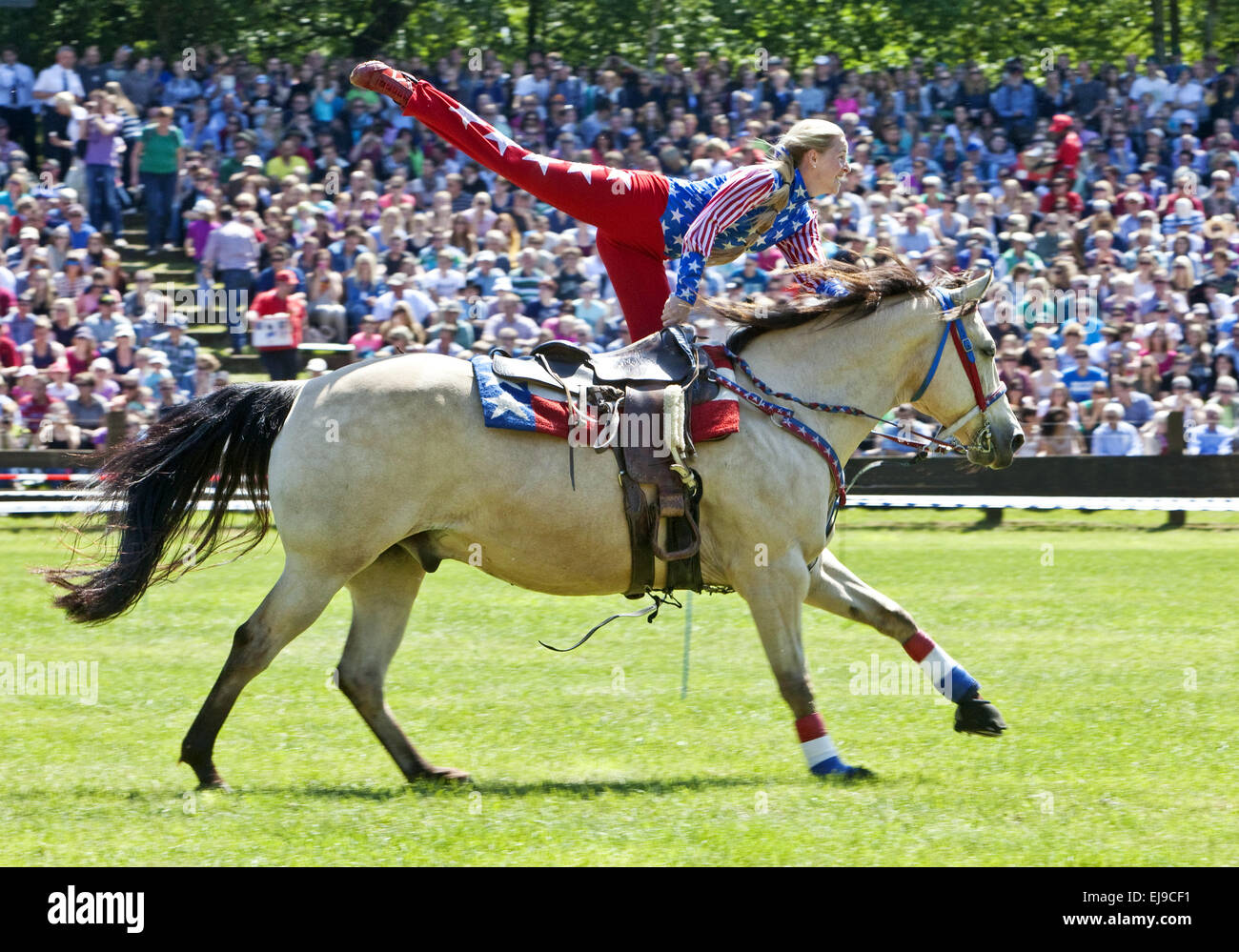 Trick riding in an arena, Duelmen, Germany Stock Photo - Alamy