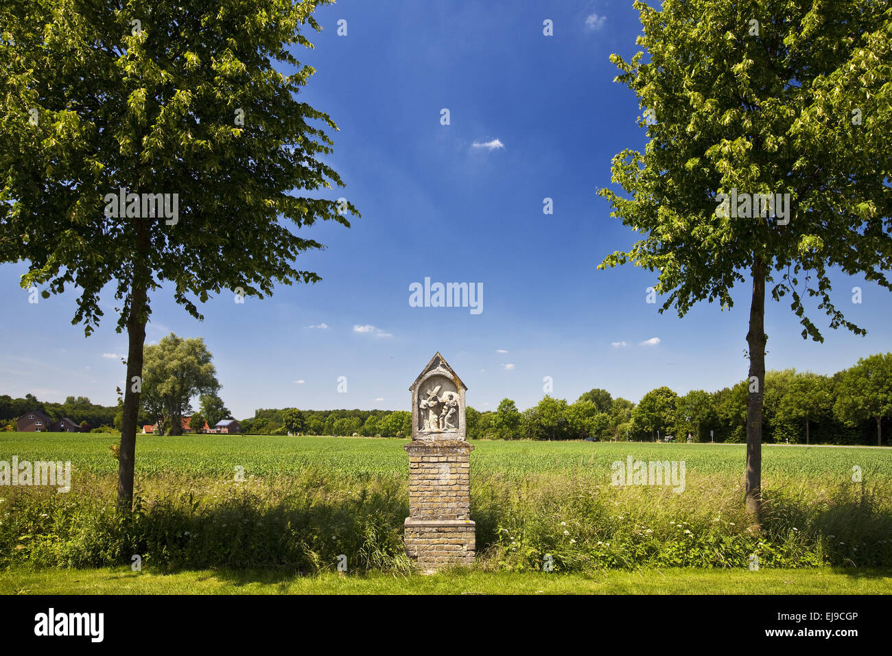Christian dem hi-res stock photography and images - Alamy