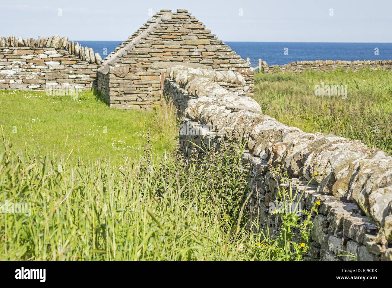 Stone House and Walls Orkney Islands UK Stock Photo - Alamy