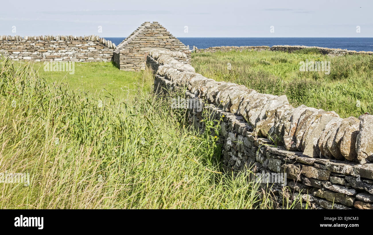 Stone House and Walls Orkney Islands UK Stock Photo - Alamy