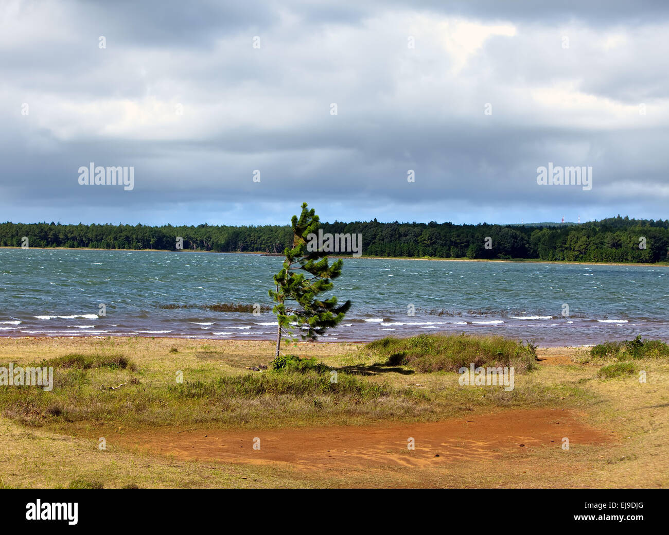 the largest water reservoir of Mauritius Stock Photo - Alamy