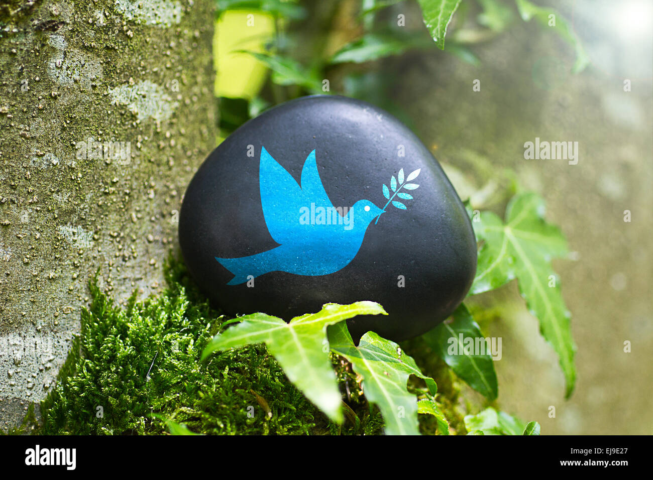 The Dove of Peace on a stone in nature Stock Photo - Alamy