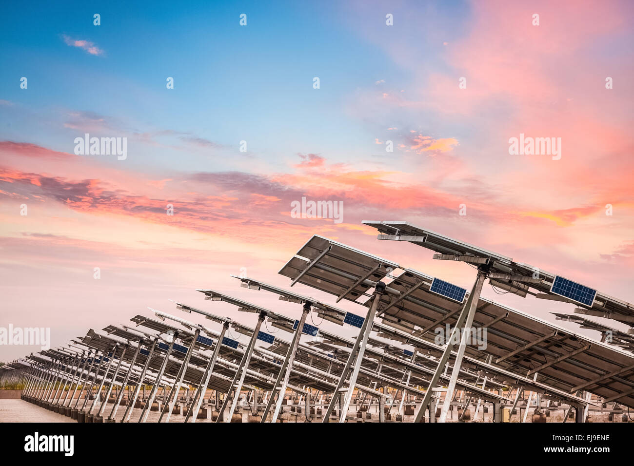solar power farm in sunset Stock Photo - Alamy