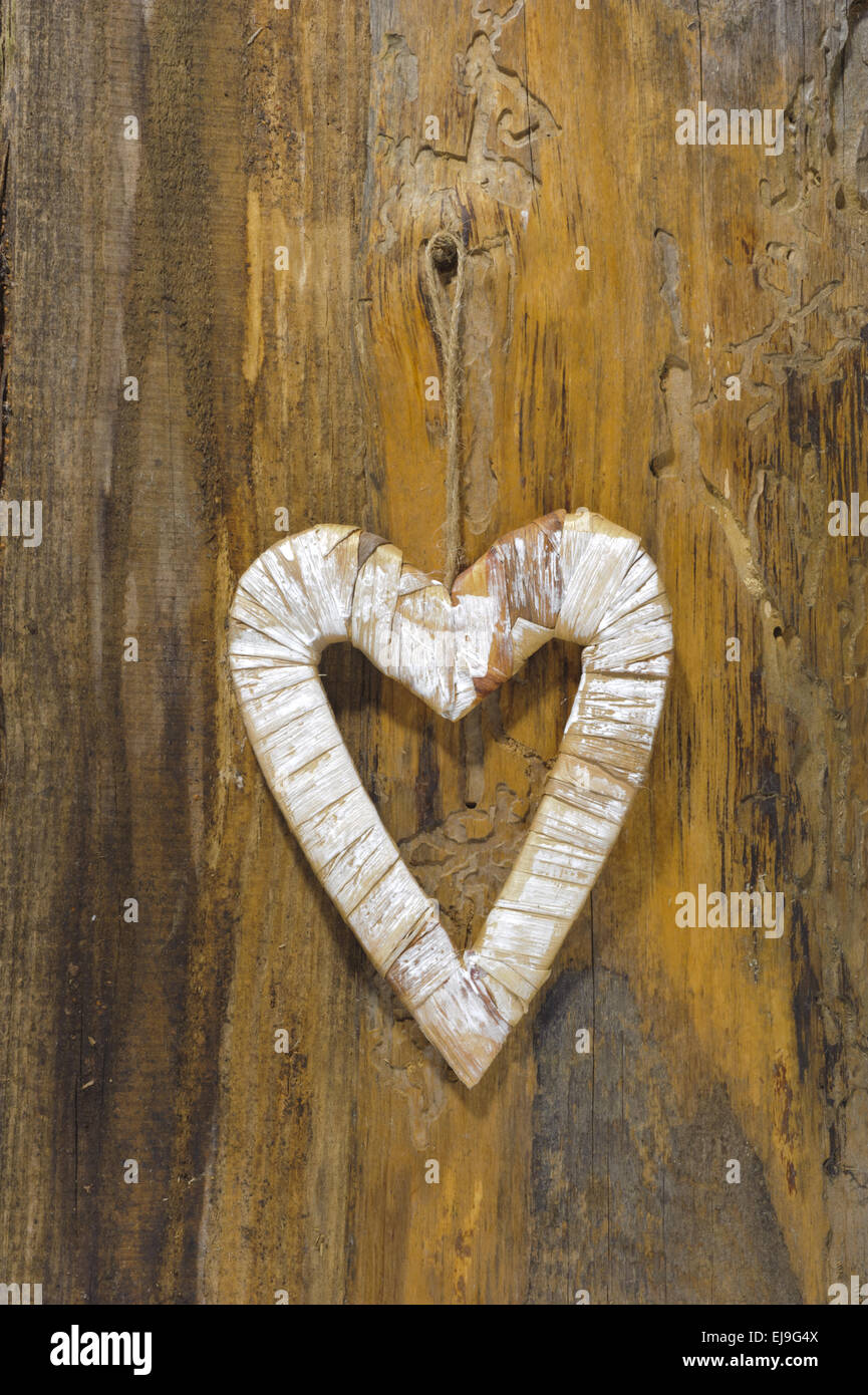 Carved into tree bark hi-res stock photography and images - Alamy