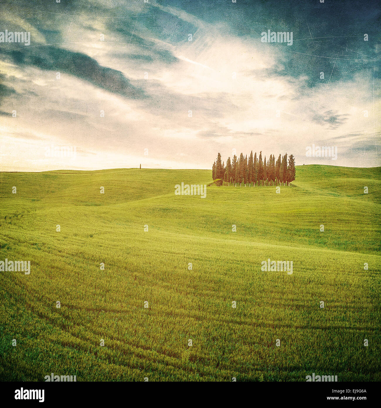 Vintage texture landscape hi-res stock photography and images - Alamy
