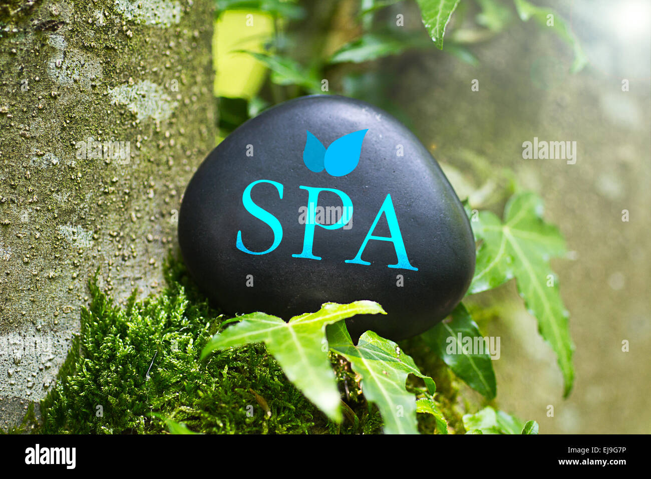 The Word „Spa on a stone in nature Stock Photo - Alamy