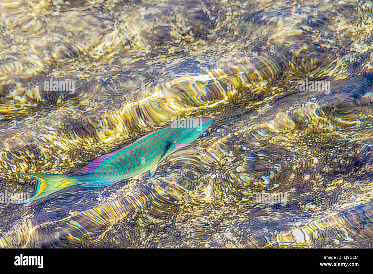 Reflections and patterns hi-res stock photography and images - Alamy